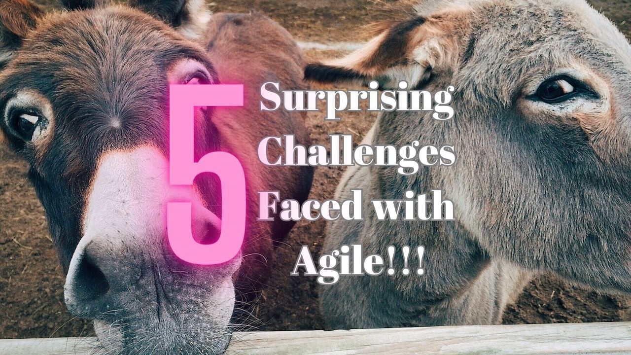 5 Hidden Challenges of Agile Project Management and What You Need to ...